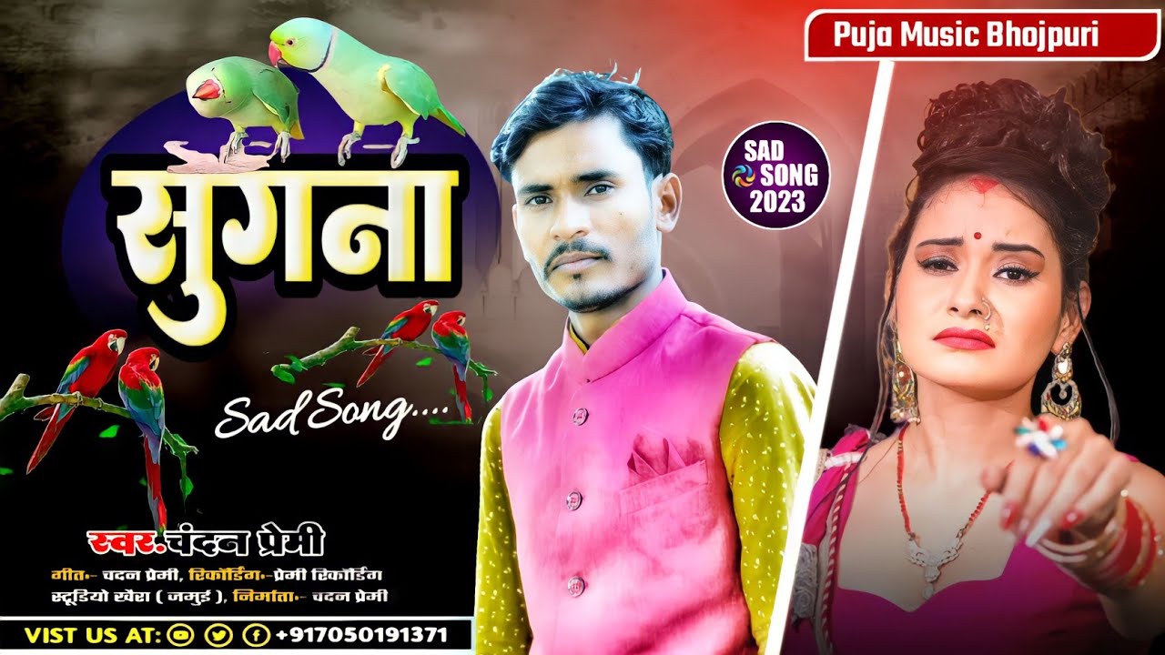 #Chandan_Premi Ka दर्द भरी बेवफा Song || सुगना || #Sad Song || Sugana ...