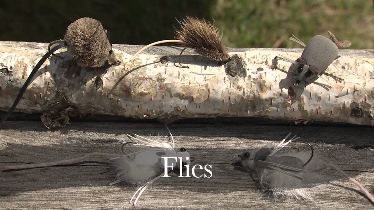 Sutton River Trout with Hearst Air Service | Ontario - YouTube