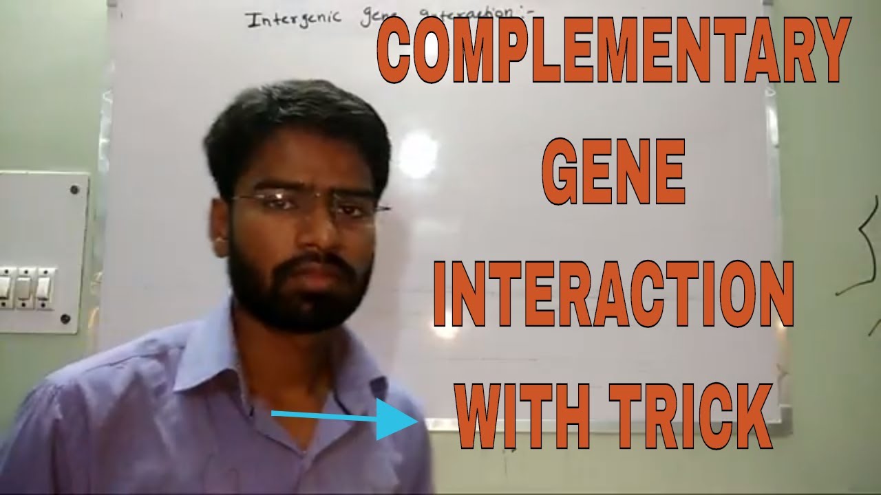 COMPLEMENTARY GENE INTERACTION - YouTube