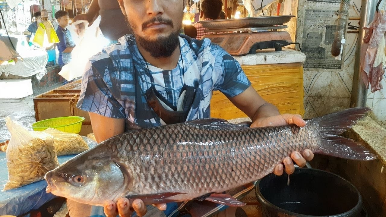 BENGALI STYLE ROHU CARP FISH CUTTING | FISH CUTTING | MARKET VIEWS BD ...