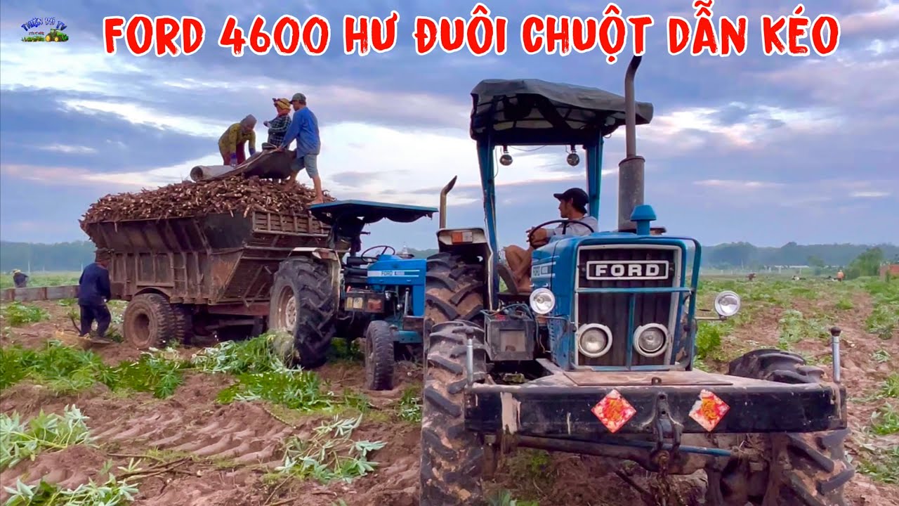 Máy cày ford 4600 turbo bị hư đuôi chuột dẫn đi kéo đầy mọt luôn nha ...