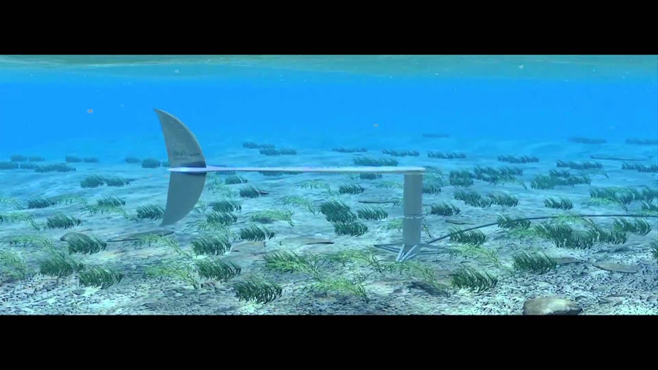 Tim Finnigan on Bioinspiration - YouTube