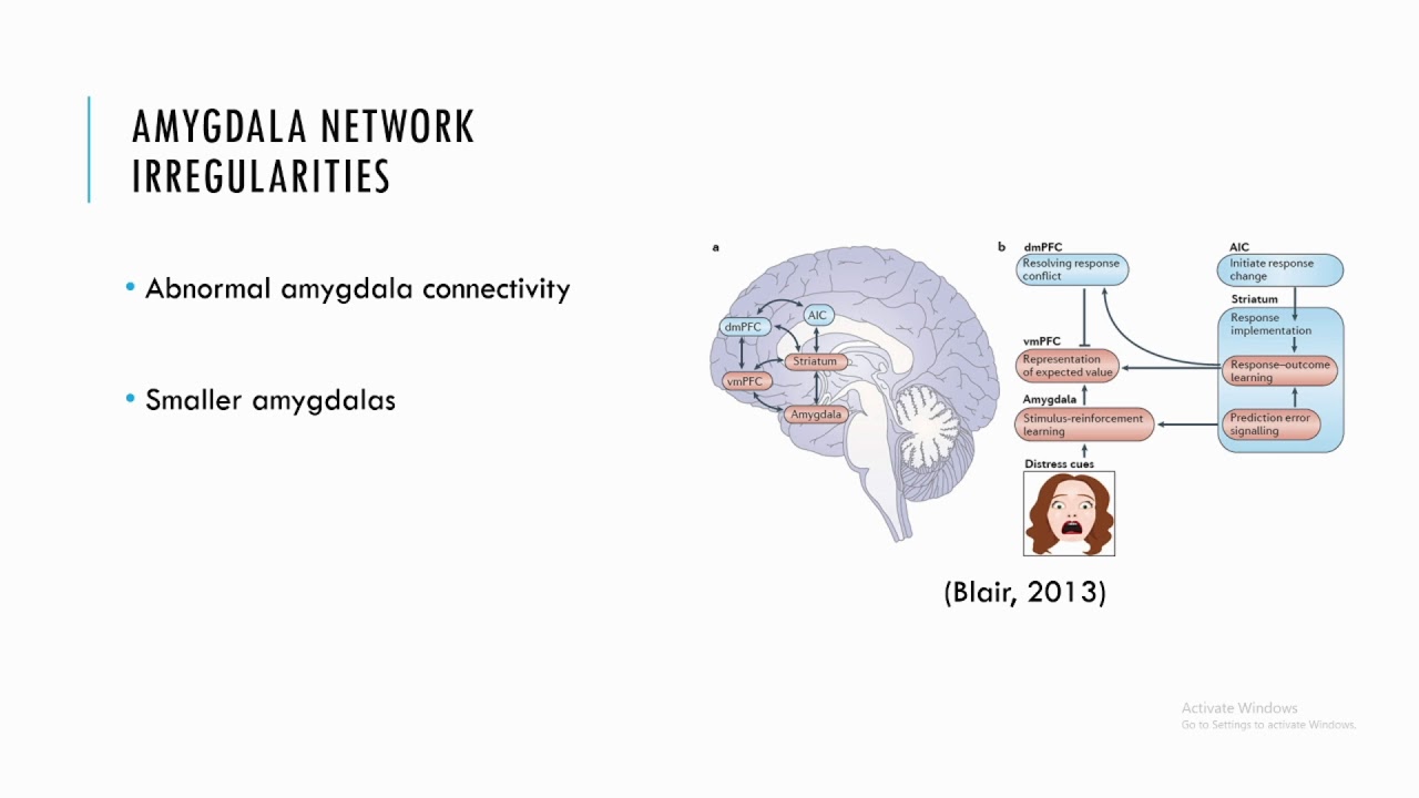 Amygdala Abnormalities and Their Link to Psychopathy - YouTube