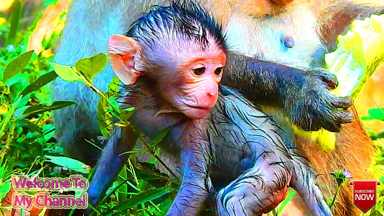 VERY SO CUTE BABY JESTER AFTER SWIMMING WITH MOM JINX LOOK SO HANDSOME ...