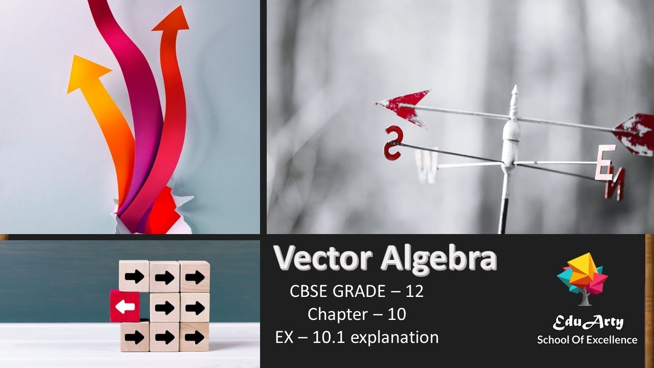 VECTORS ALGEBRA - Ex. 10.1 - Explanation - YouTube