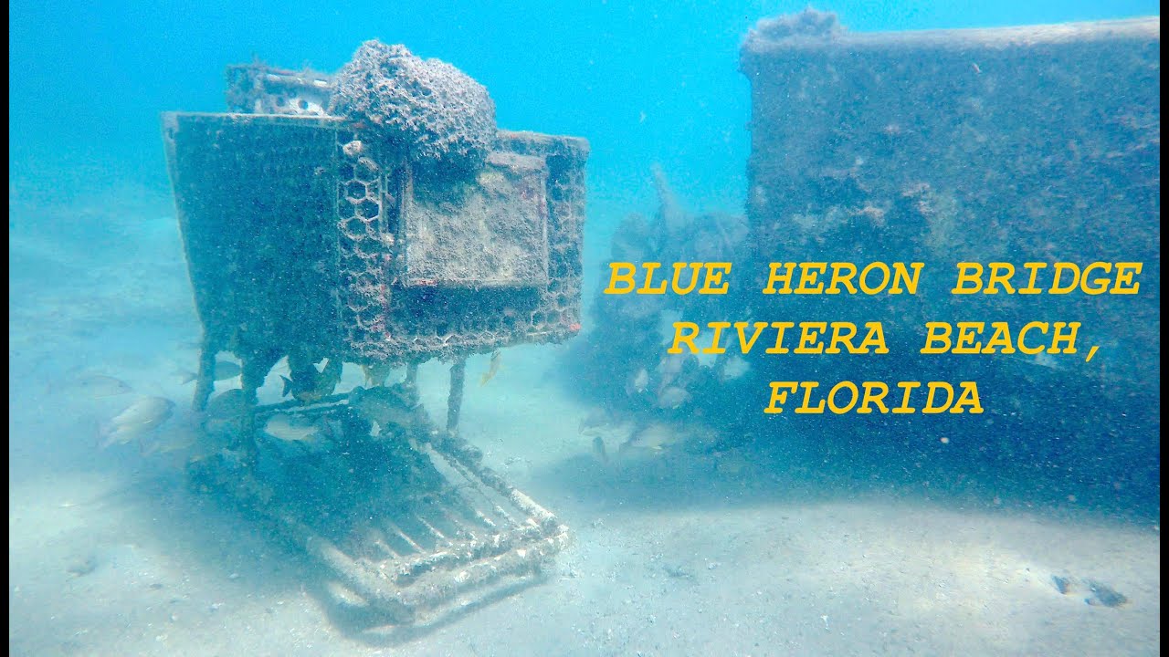 Scuba Diving Blue Heron Bridge | Riviera Beach, Fl - YouTube