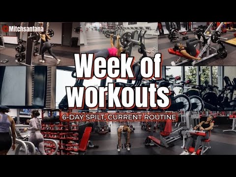 WEEK OF WORKOUTS | 6-DAY SPLIT | UPPER/ LOWER BODY EXERCISES FOR WEIGHT ...