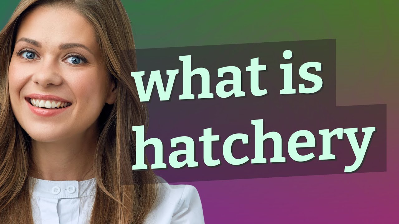 Hatchery | meaning of Hatchery - YouTube