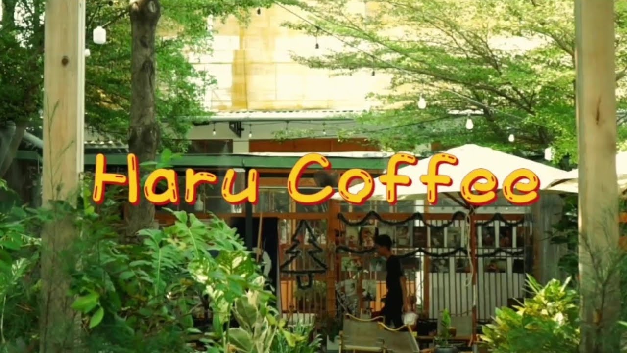 Haru Coffee-18.12.2023 | Sony A6000 + Sel 35mm f1.8 - YouTube