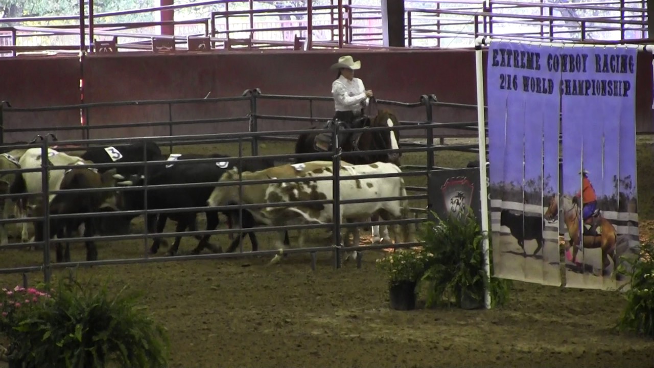 Shelly Logan - 2016 EXCA World Championships - Intermediate 2nd Go ...