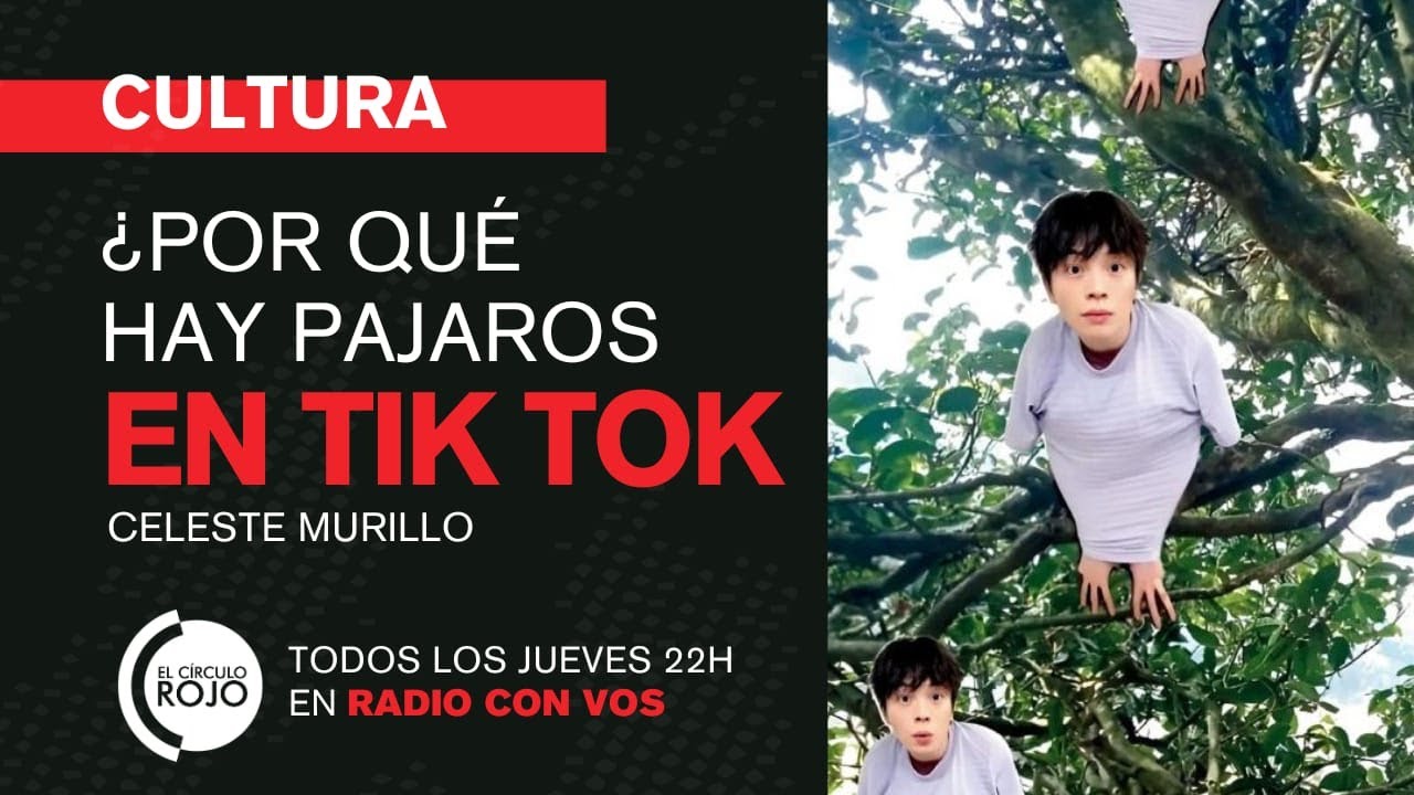 🔴 CULTURA Celeste Murillo | ¿Por qué hay pájaros en TikTok? - YouTube