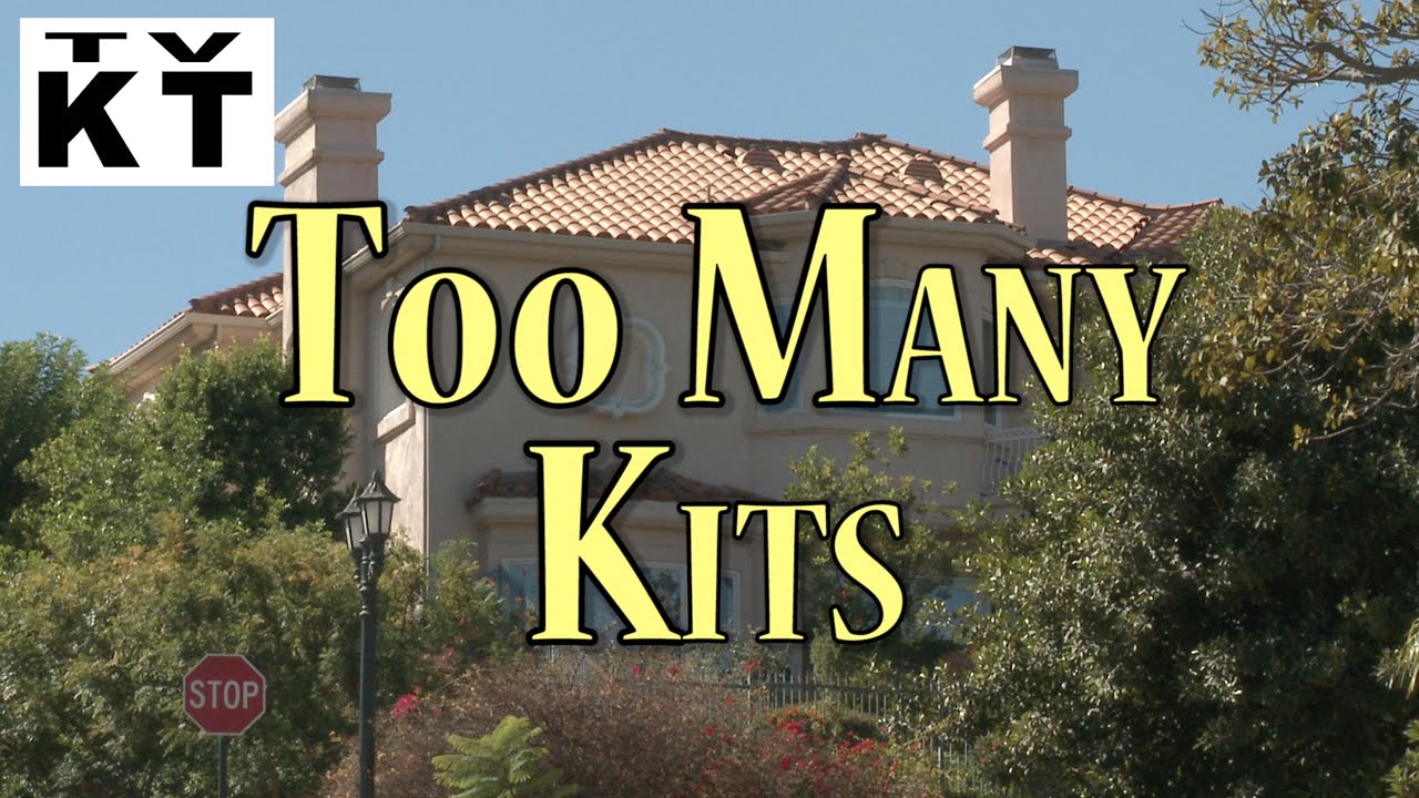 TOO MANY COOKS - Adult Swim (Cute Kitten Version) - YouTube