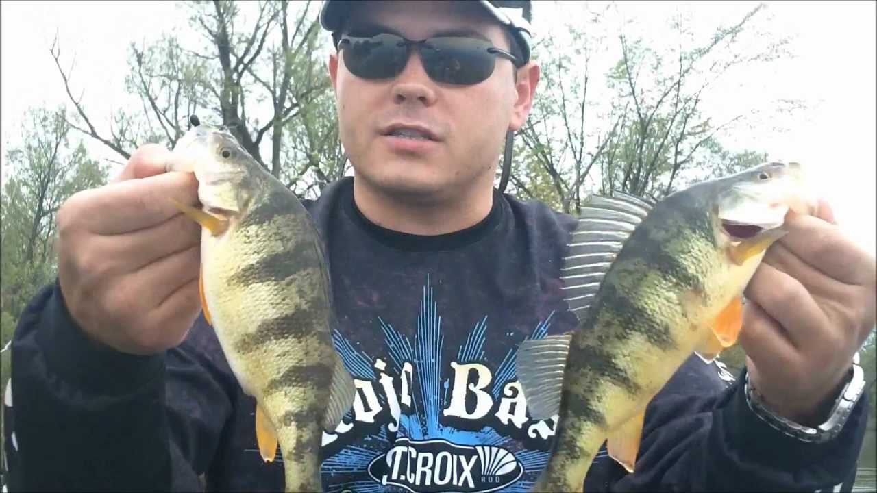Jumbo Perch fishing Bass style - YouTube