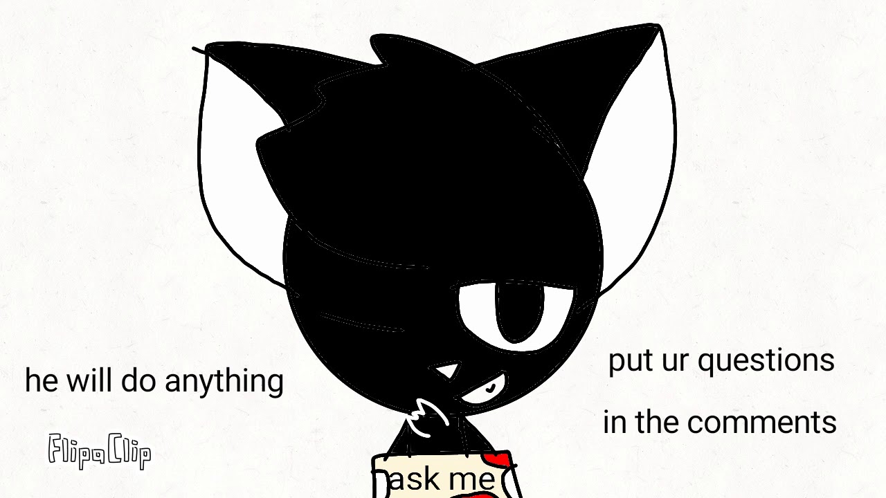 Ask cartoon cat - YouTube