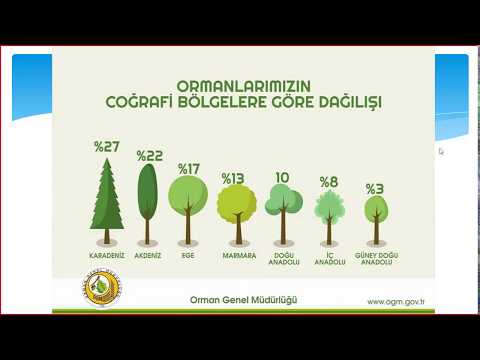 TÜRKİYE'DE ORMANCILIK