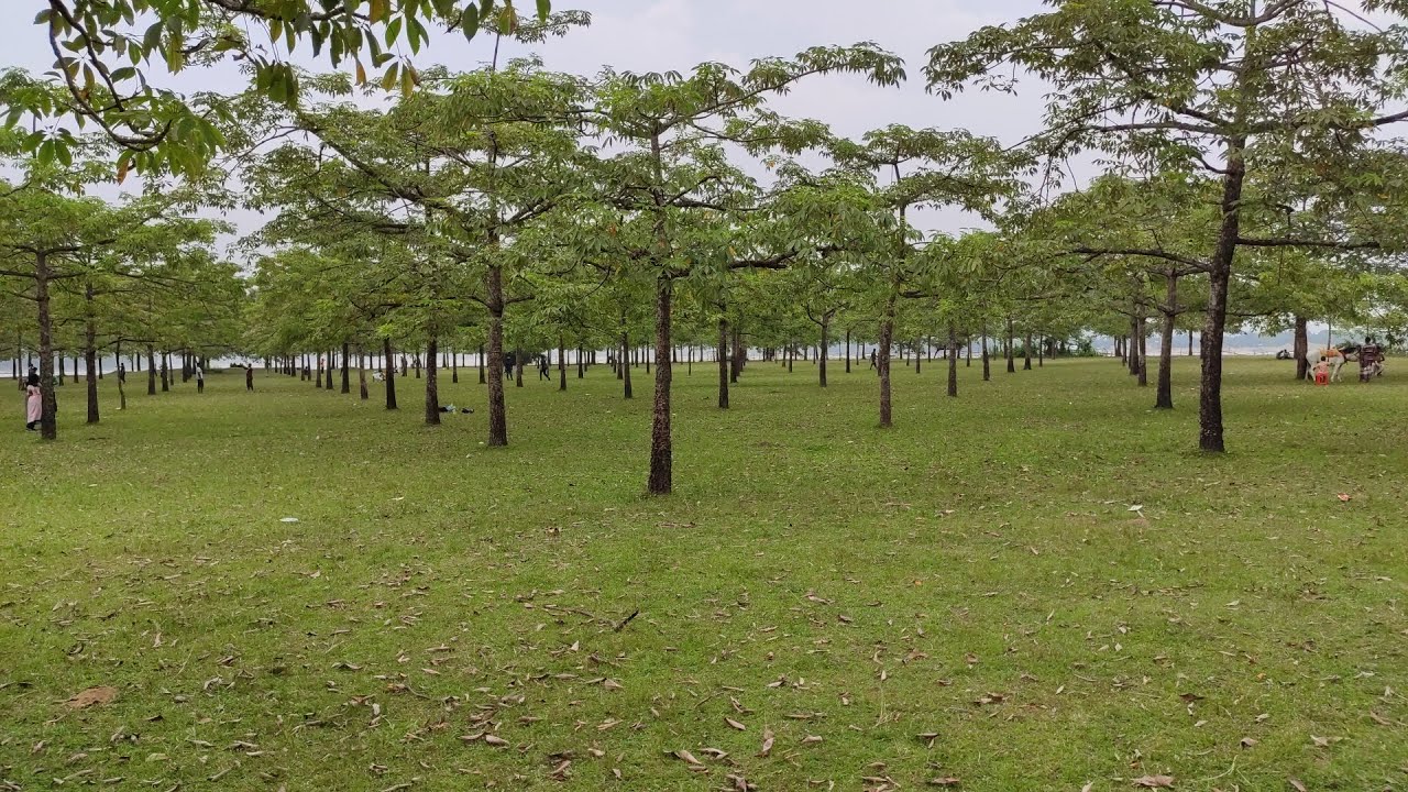 Shimul Bagan - YouTube