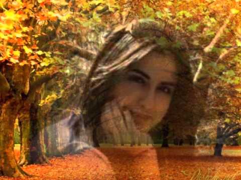 son sevgilim olurmusun ??