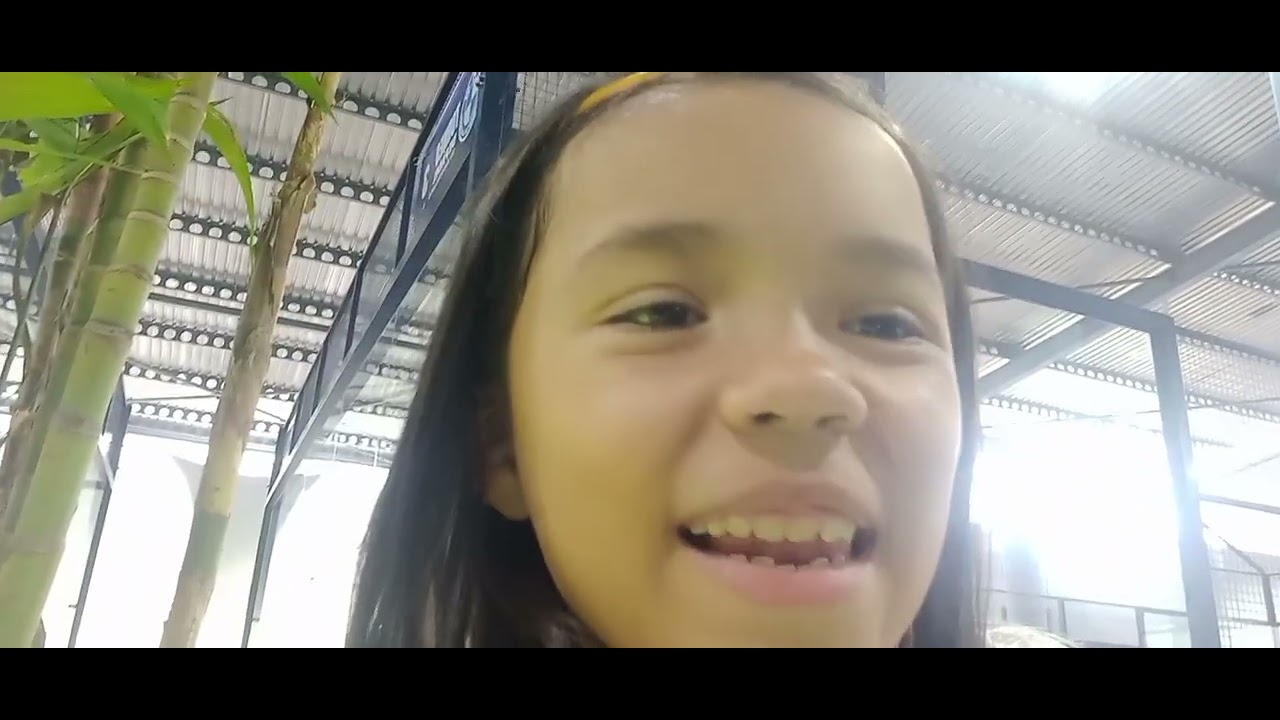 todo sobre miiiii :): - YouTube