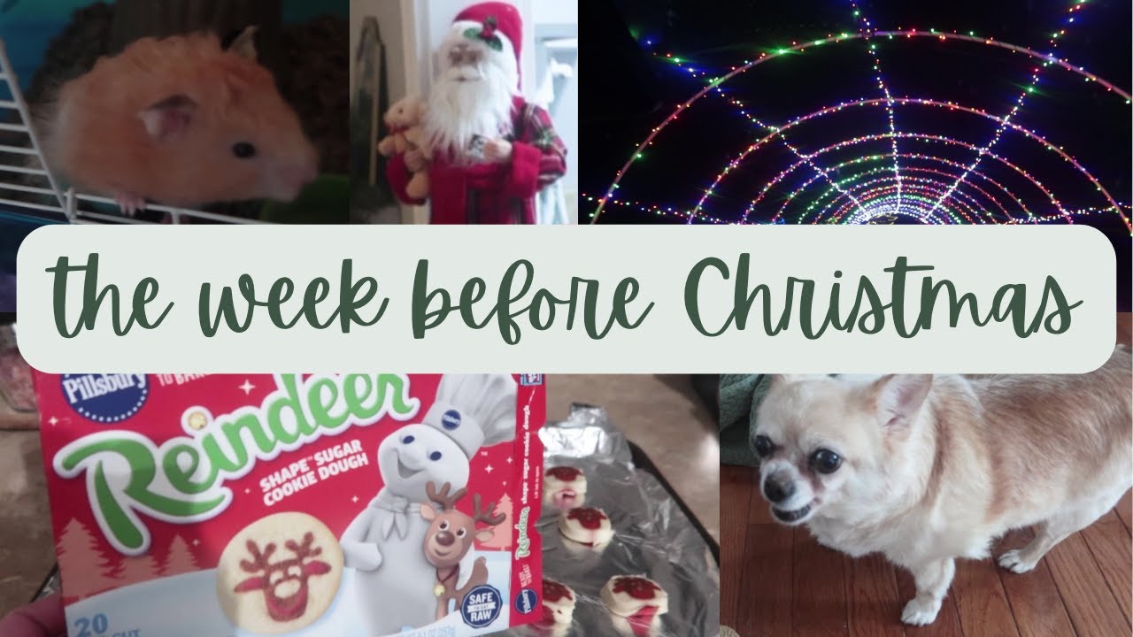 the week before Christmas | kitchen transformation | Christmas lights ...