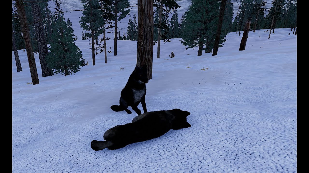 WQAE - 1v6 - YouTube