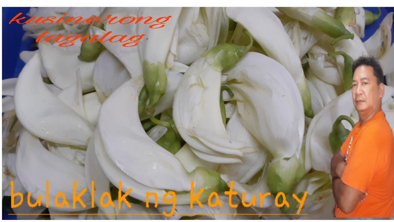 Bulaklak Ng Katuray/Ensaladang Katuray/Masarap Na Ensaladang Katuray ...