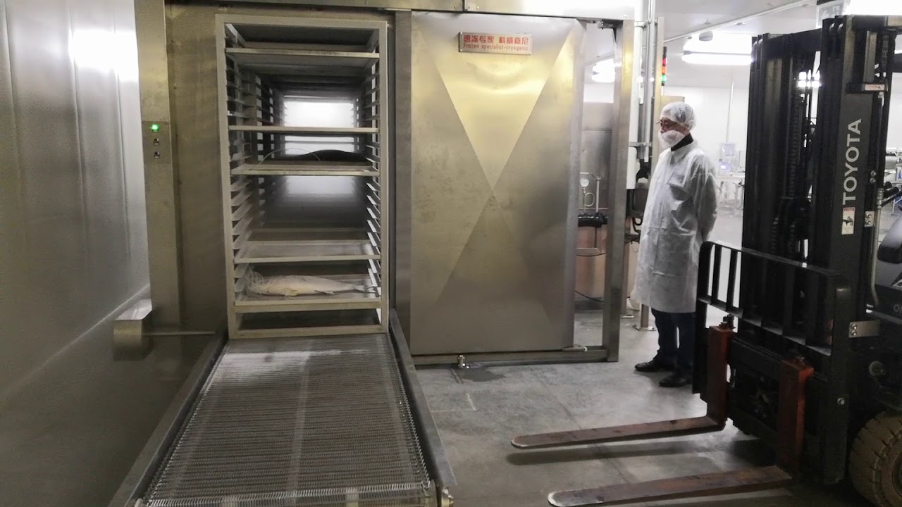 1000kg liquid nitrogen cabinet freezer in Australia - YouTube