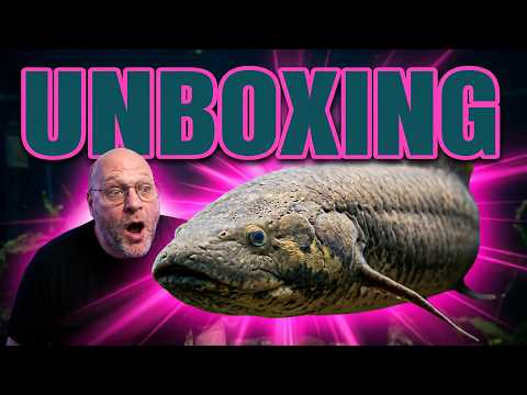 Unglaubliches Unboxing! Wir packen seltene Fische aus.