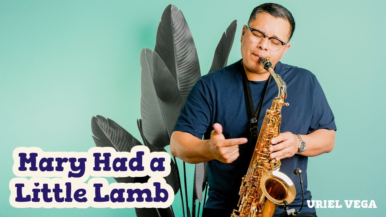 Mary Had a Little Lamb | My Lullaby Instrumental | #saxophone - YouTube