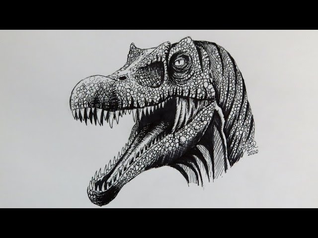 Tekening Spinosaurus Hoofd