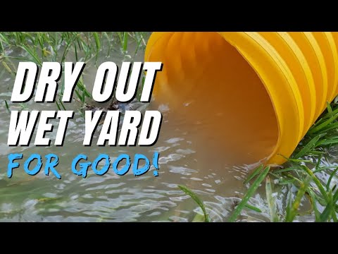 How to Fix a Wet Yard Fast. Flat Yard No Slope French Drain Yard ...