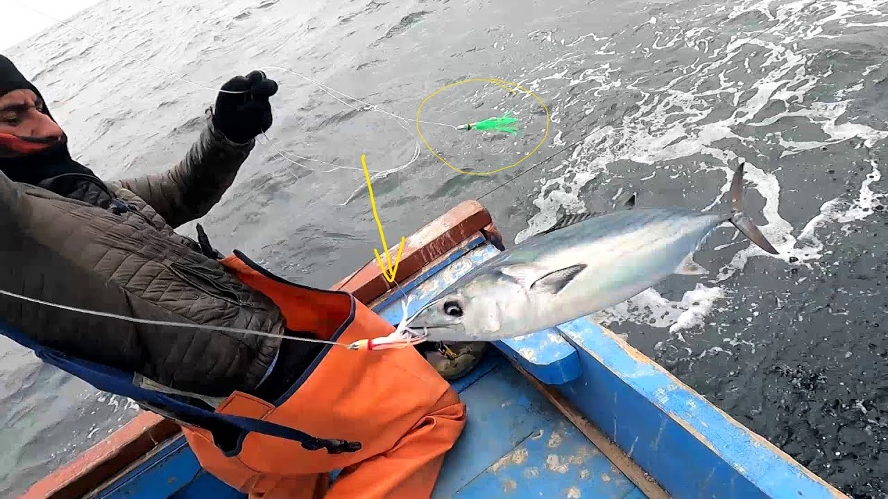 Mira Así se PESCA estos Peces en Altamar - YouTube