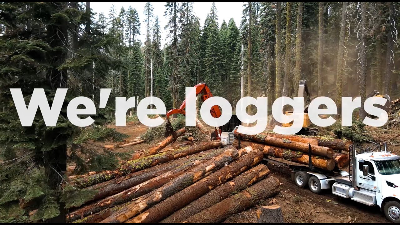 The People: American Loggers - YouTube
