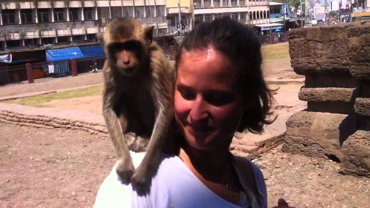 Grad majmuna/ Lopburi Thailand - YouTube