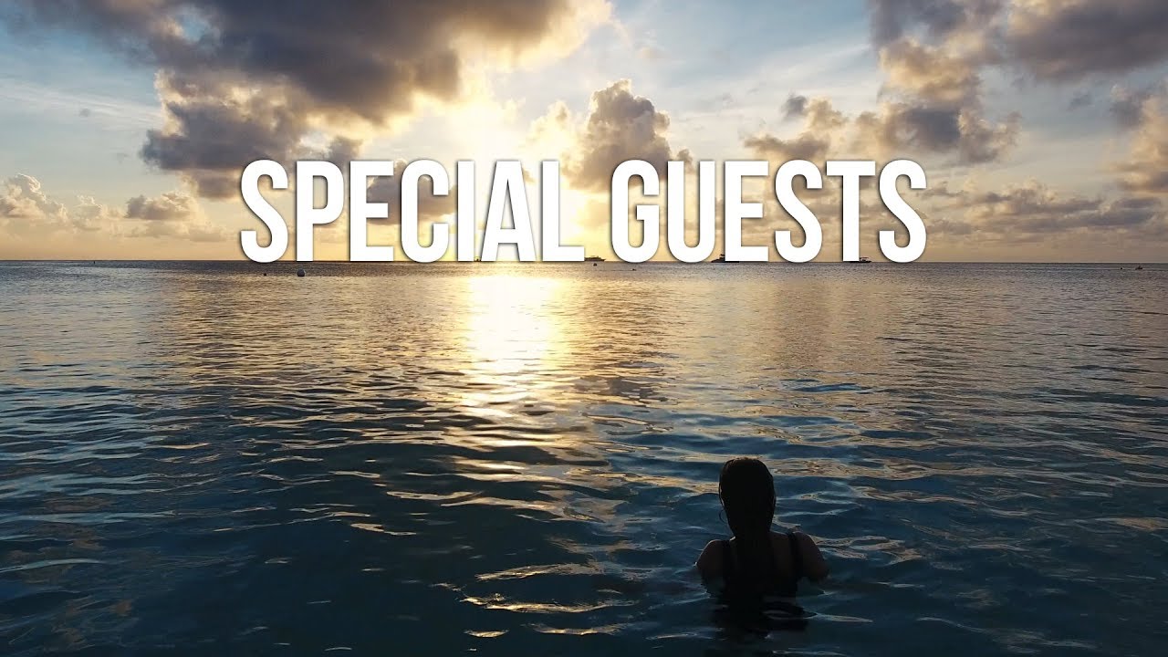 CARRIE RAD, THE BOLD BRUNETTE, SIDE SMILE STYLE, AND A SLICE O PI ...