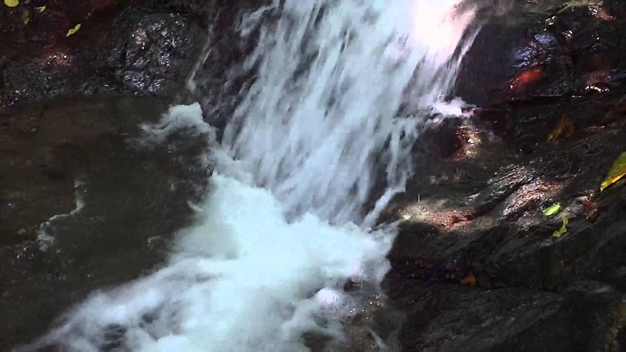 Nacimiento Río Cerrillos - Ponce - Puerto Rico - Video XXXII - YouTube