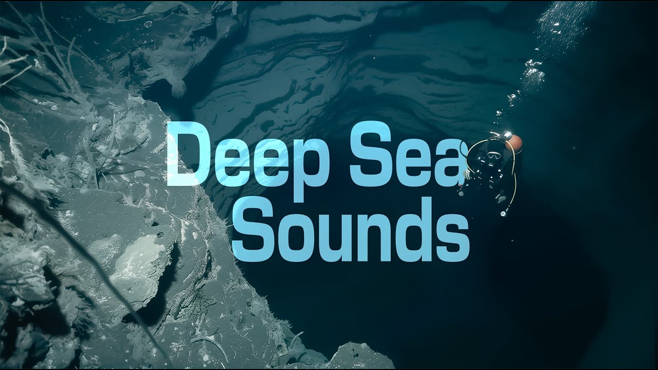 Deep Sea Sounds for Sleep | 30 Minutes of Soothing Underwater Ambient ...
