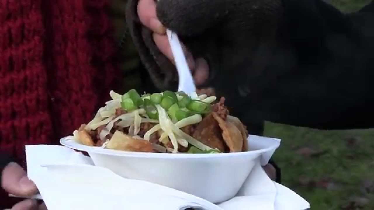 Christmas Market Food - Jesmond Dene - YouTube