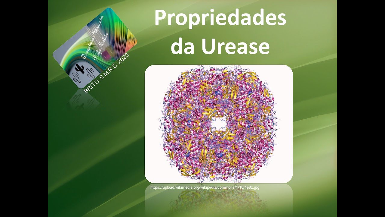 Aula prática de urease - YouTube