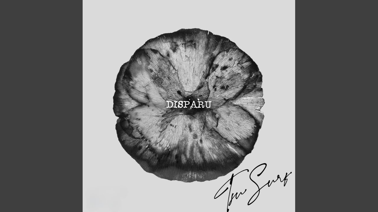 DISPARU (feat. The Moon) - YouTube