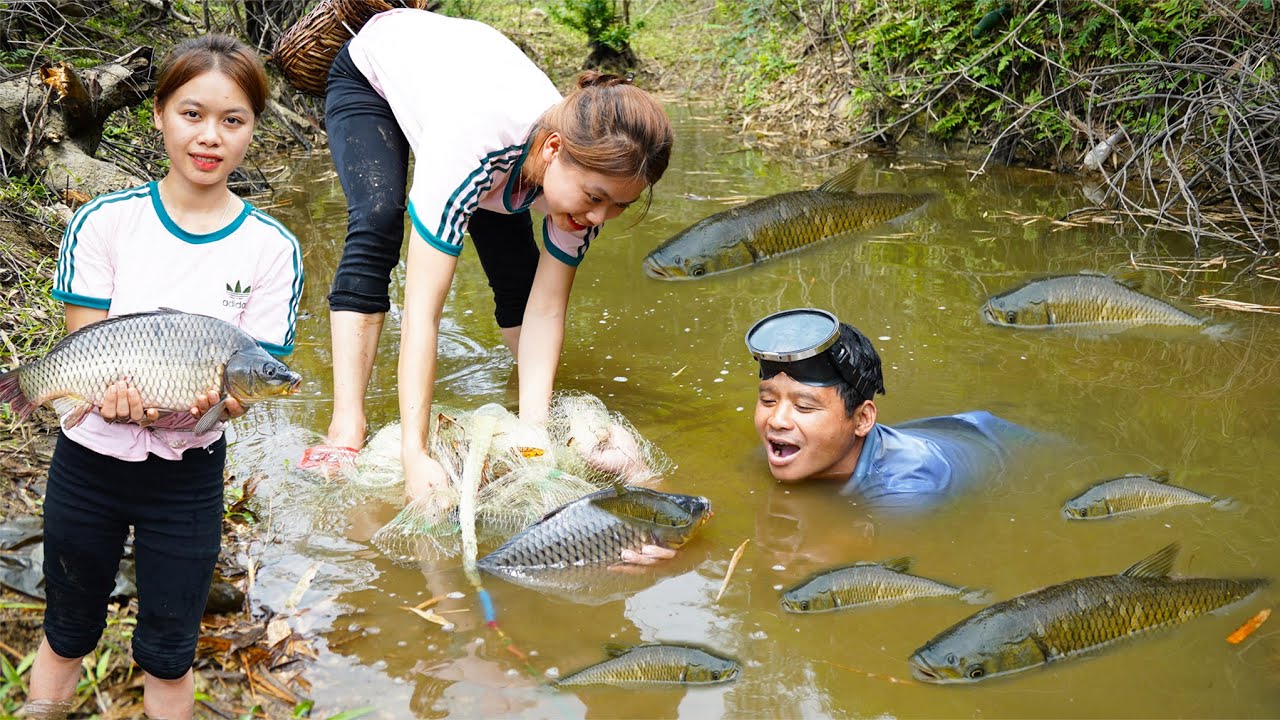 Girl catches a lot of big fish with a net, new life / LTtivi - YouTube