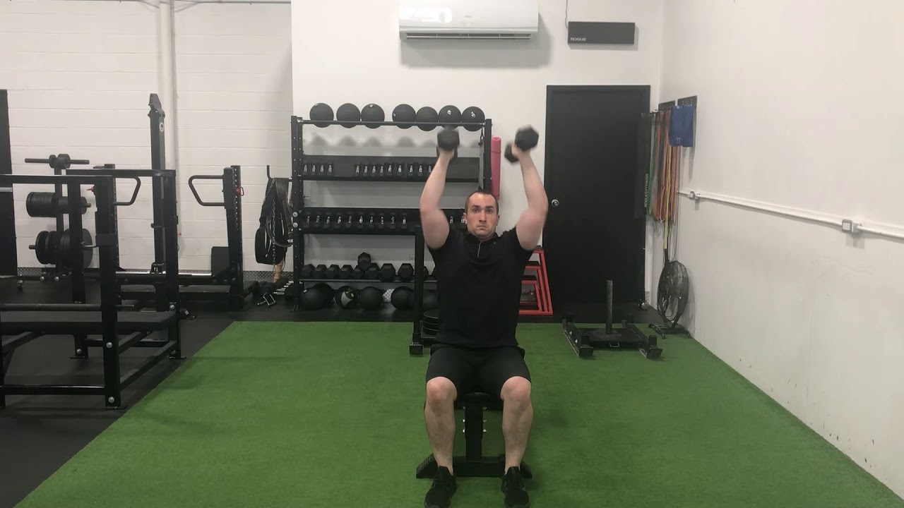 Seated Neutral Grip Dumbbell Press - YouTube
