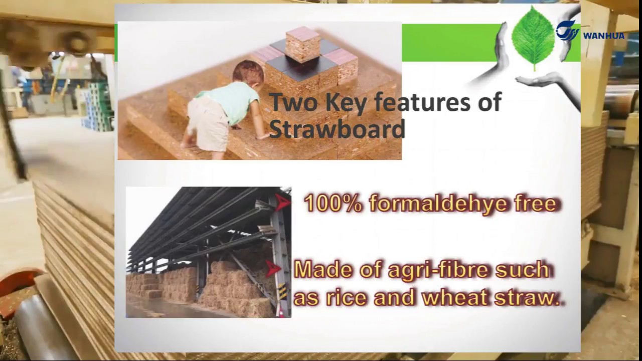 Two keyfeatures of Wanhua Strawboard - YouTube