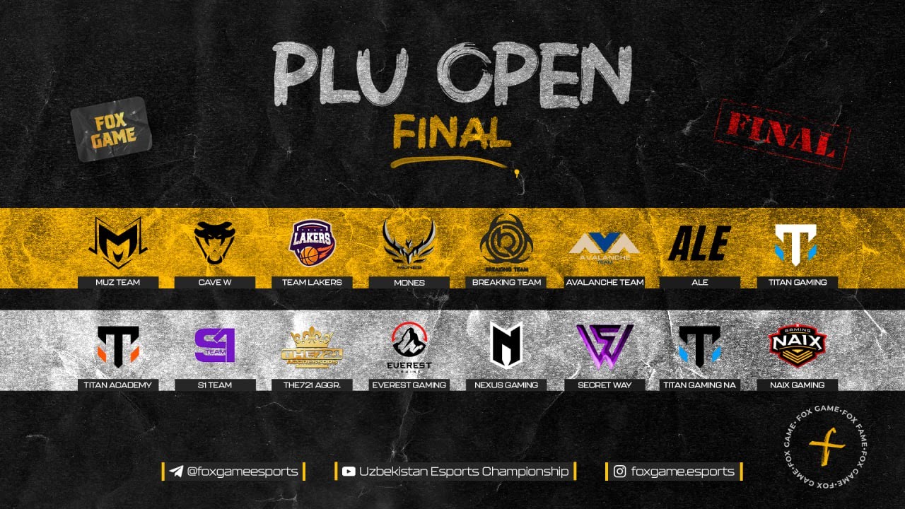 PLU OPEN | FINAL | PRIZE POOL: 300$ - YouTube