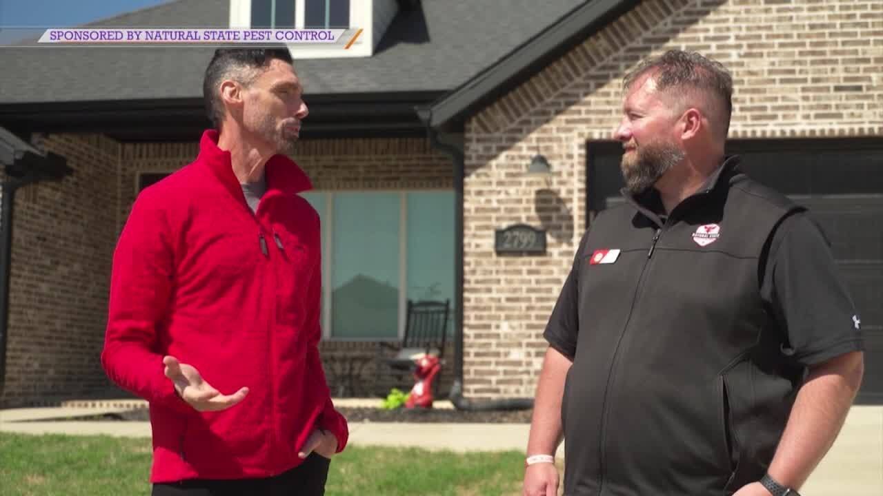 How to maintain your lawn with Natural State Pest - YouTube