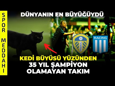 Kedi Büyüsü Sebebiyle 35 Sene Şampiyon Olamayan Takım #trendyolyemek