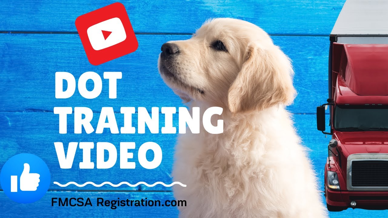 DOT Training Video 🚚 🇺🇸 - YouTube