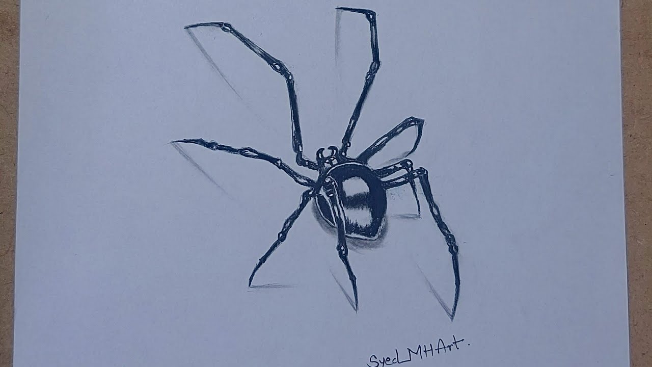 How to draw 3d spider drawing on paper | easy 3d spider drawing. - YouTube