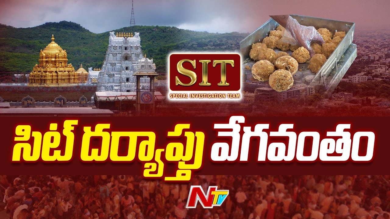 SIT Investigation Speed Up on Tirumala Taddu Controversy | NTV - YouTube