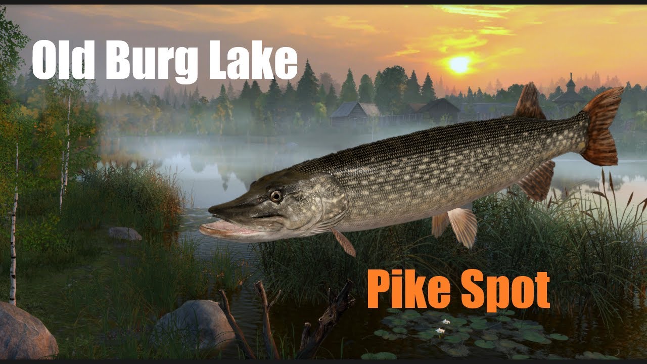 RF4 Old Burg Lake Pike Spot. Złowiłem Szczupaka 9,2 kg. - YouTube