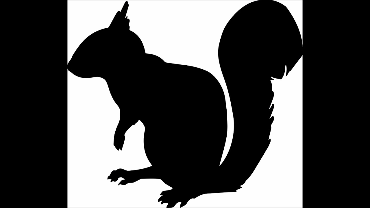 Red Squirrel Sounds slowed down - YouTube